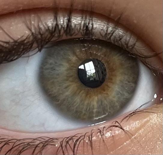 Are these Hazel? | Scrolller