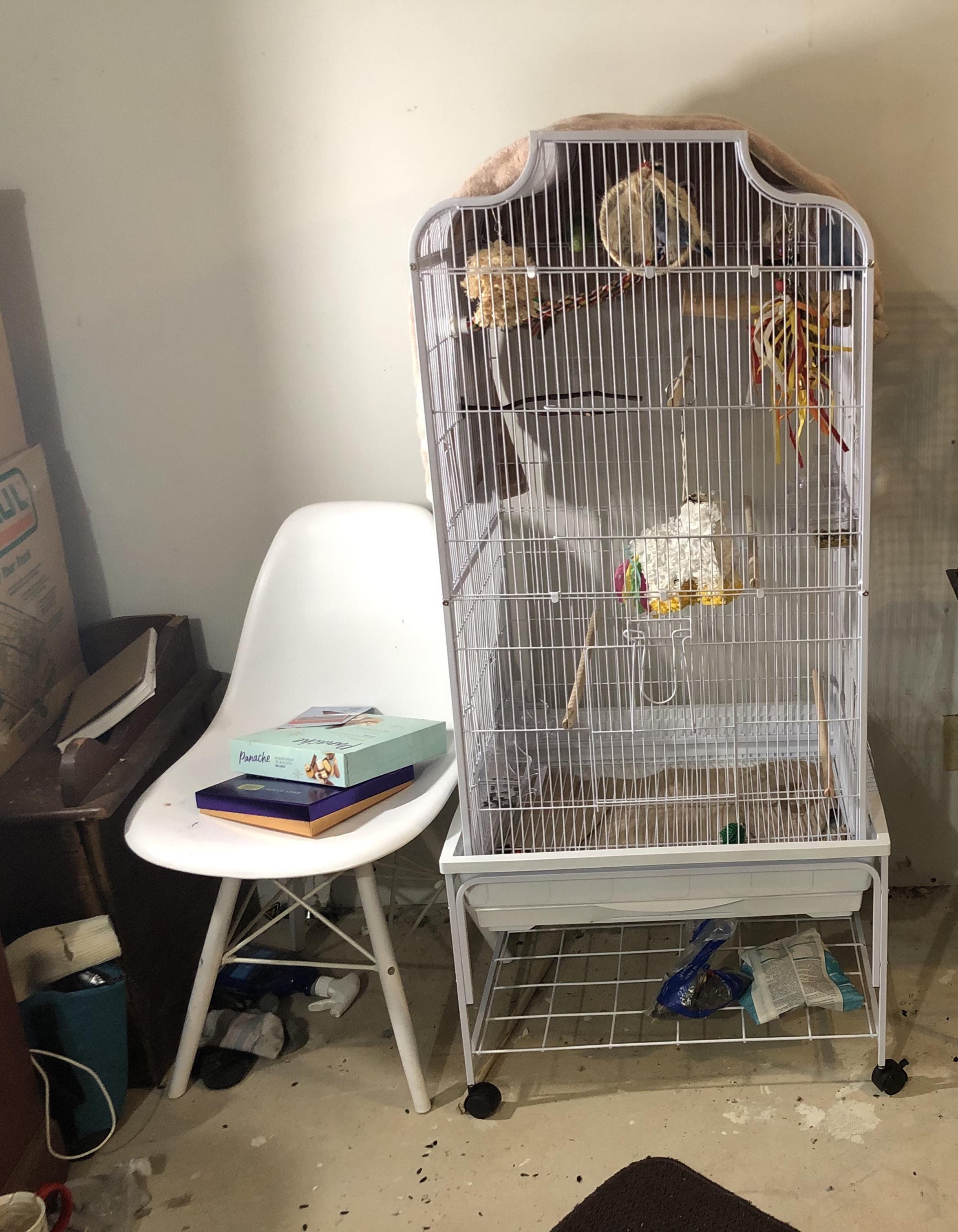 Upgrades, people, upgrades! | Scrolller