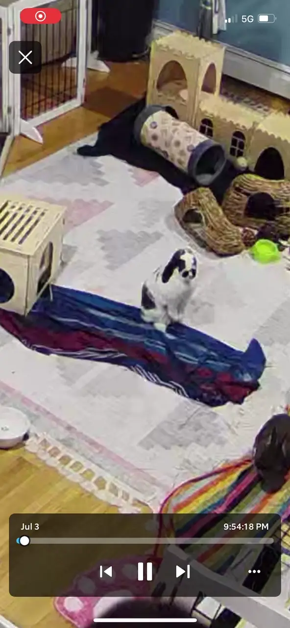 Tall to flat in 10 seconds | Scrolller