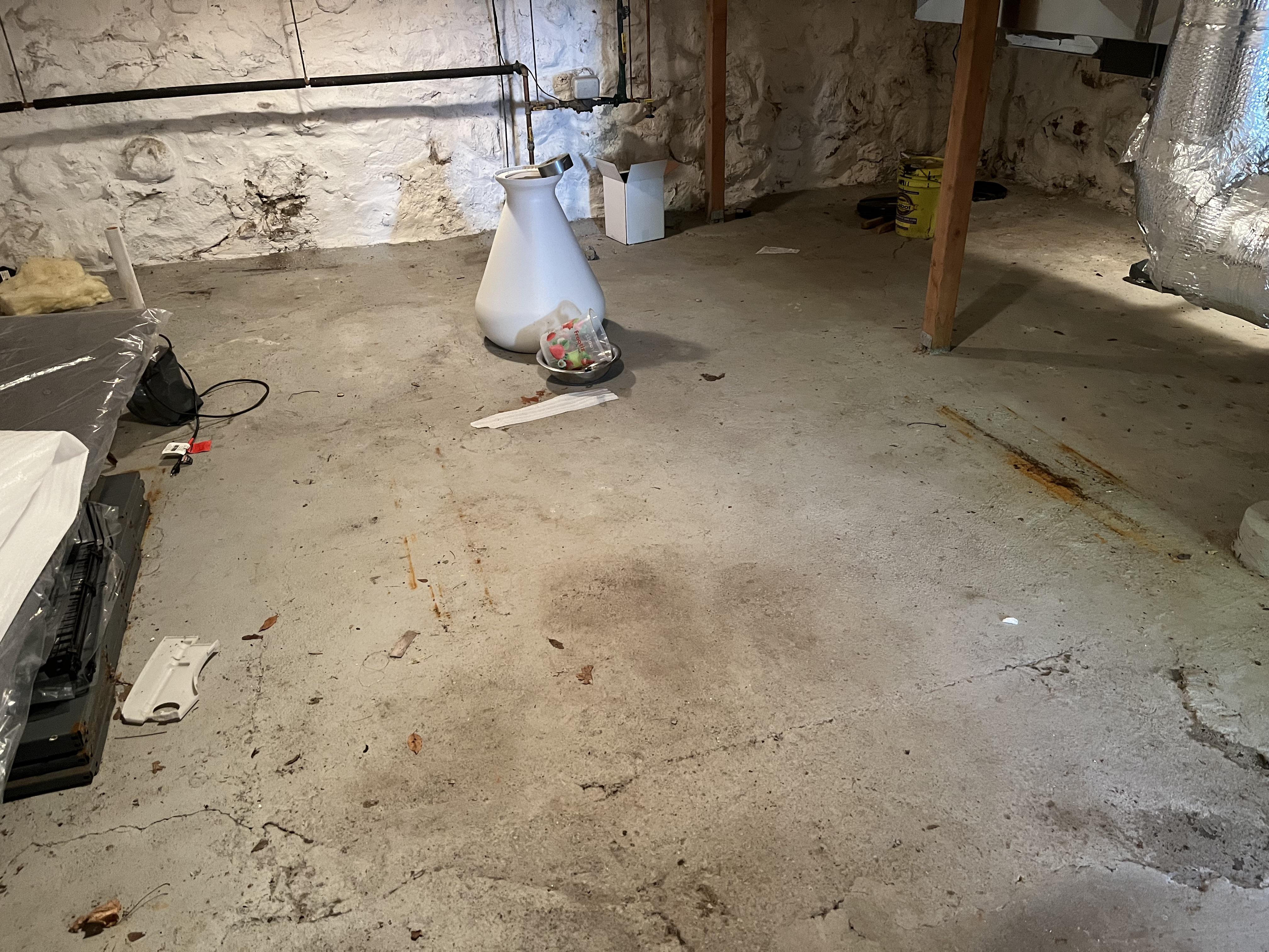 Wet spots on basement floor | Scrolller