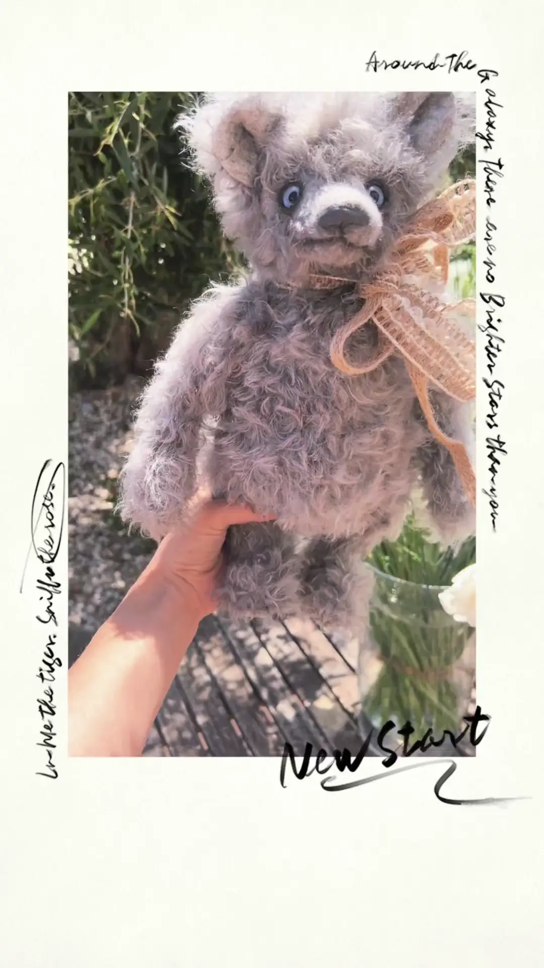 Teddy bear | Scrolller