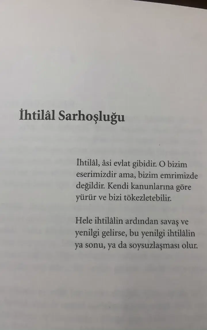 Tek Adam | Scrolller