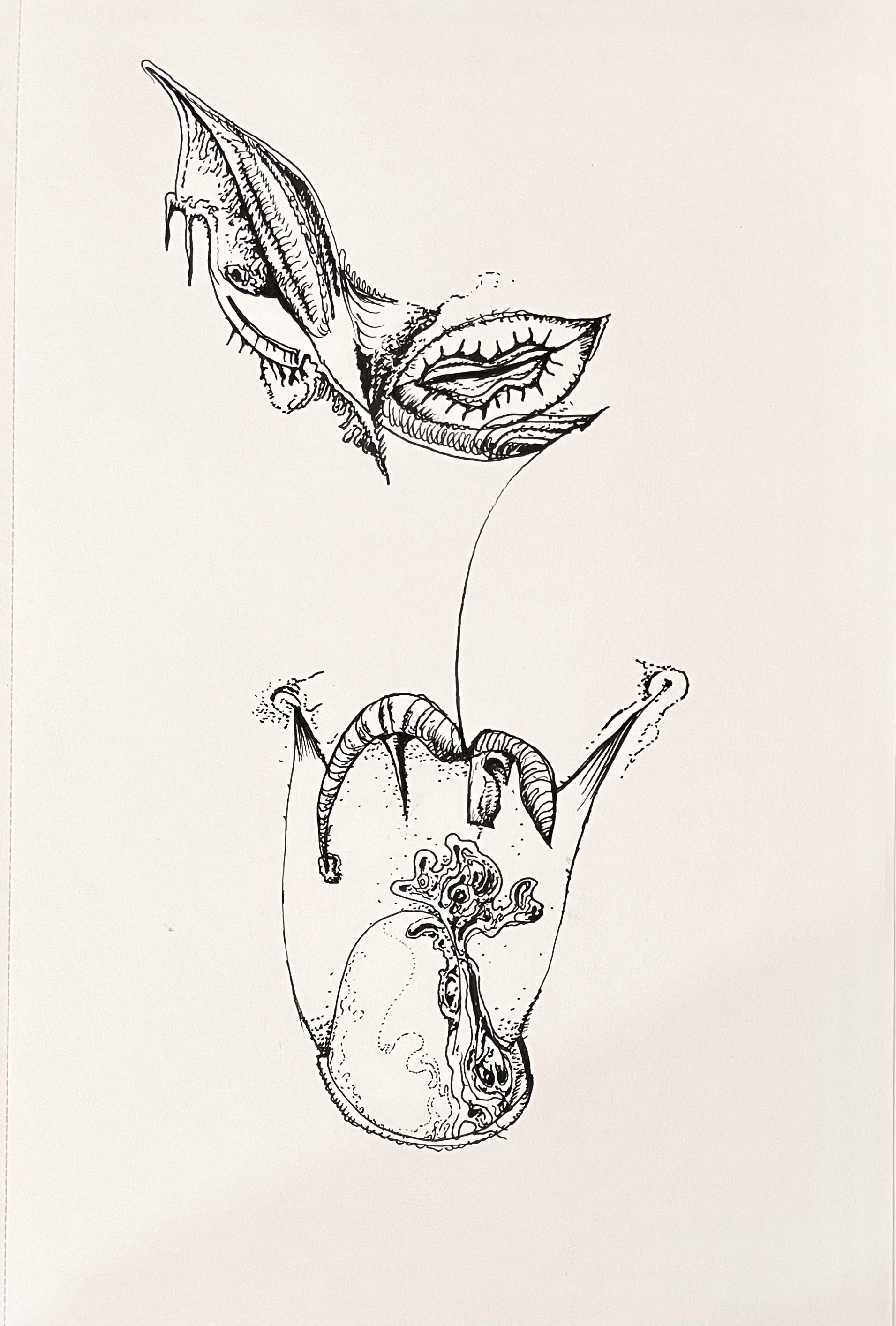 Recent doodles. | Scrolller