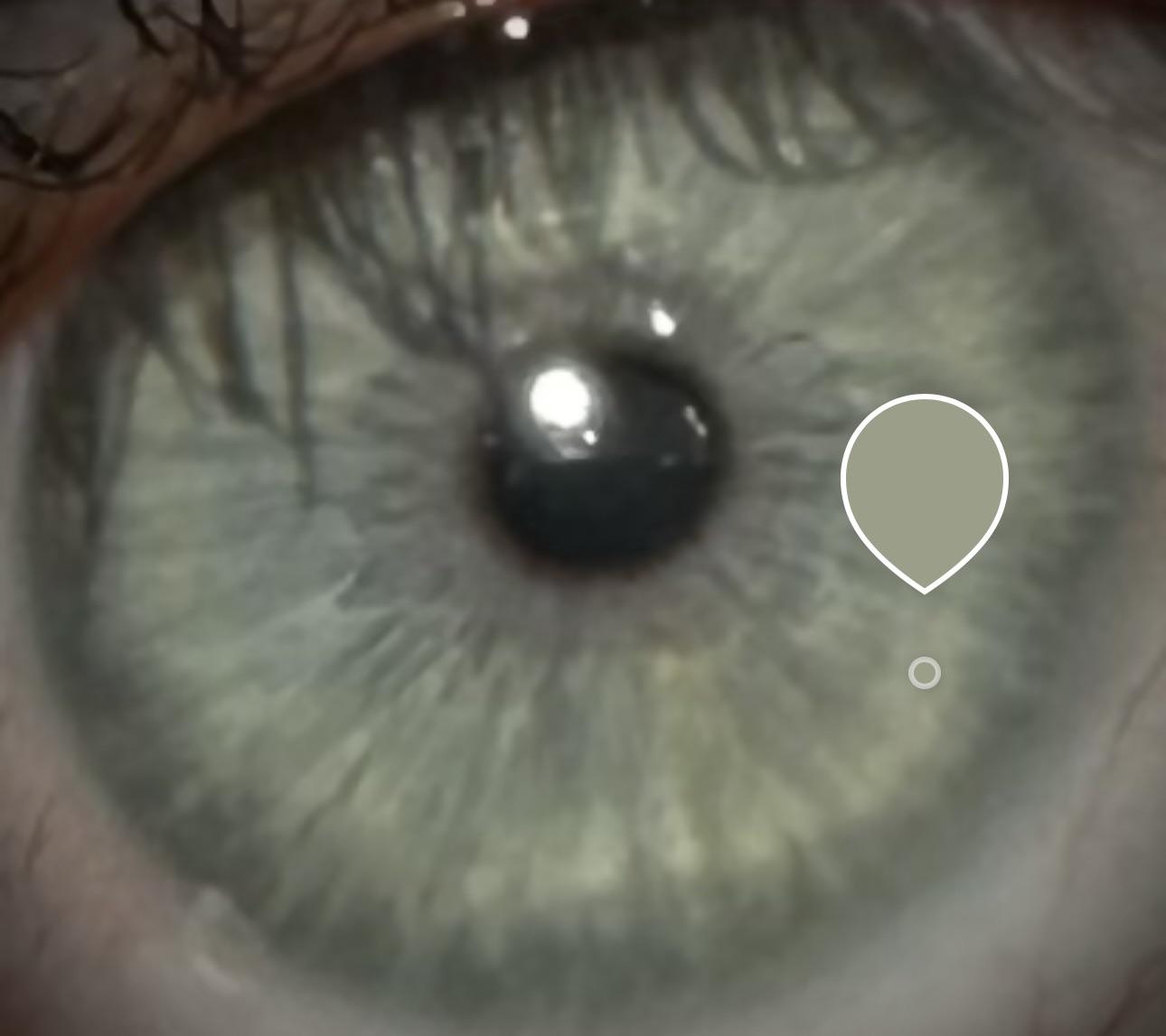 Gray? Green? Teal? | Scrolller