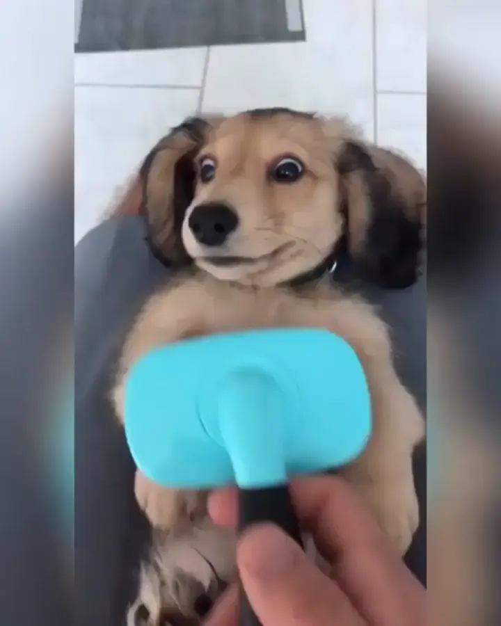 That must feel SO great | Scrolller