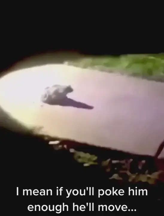 Thats A Big Frog Scrolller