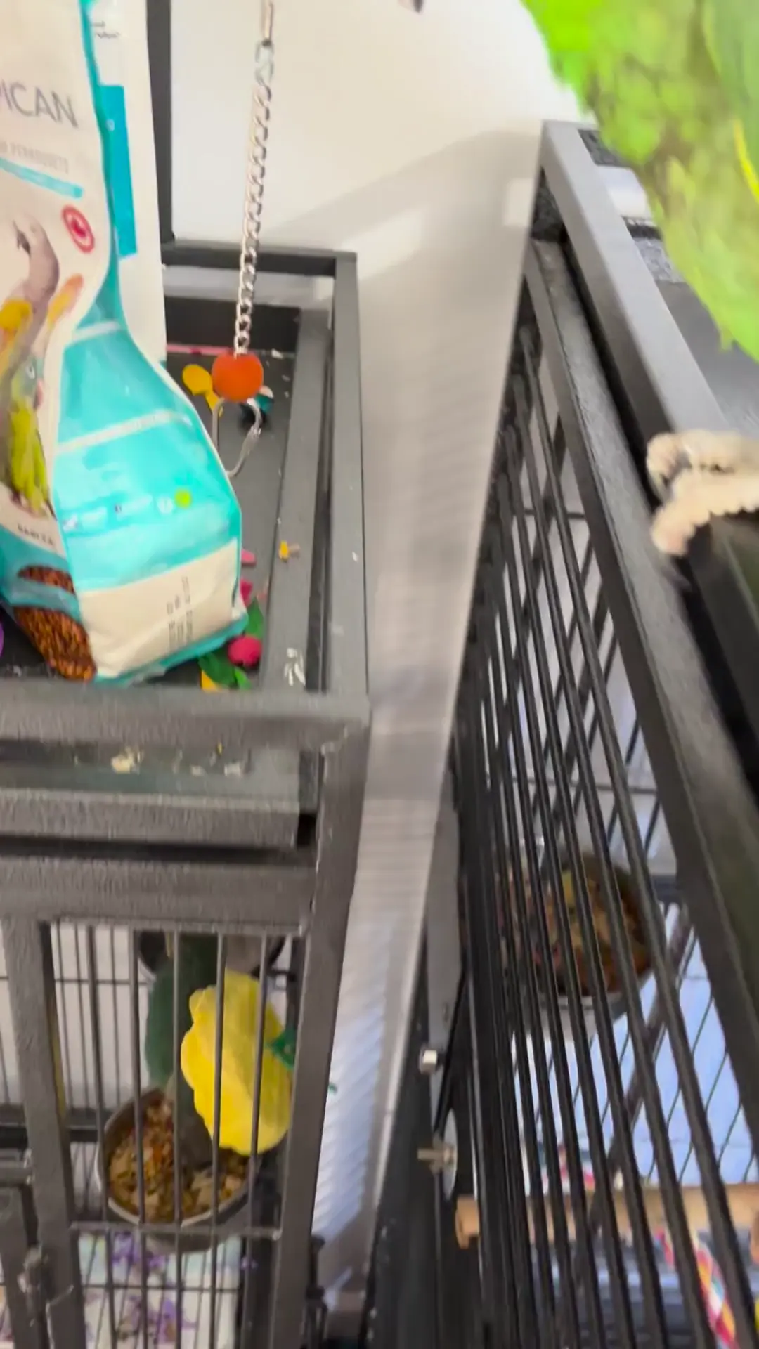 Thats not yours bud | Scrolller