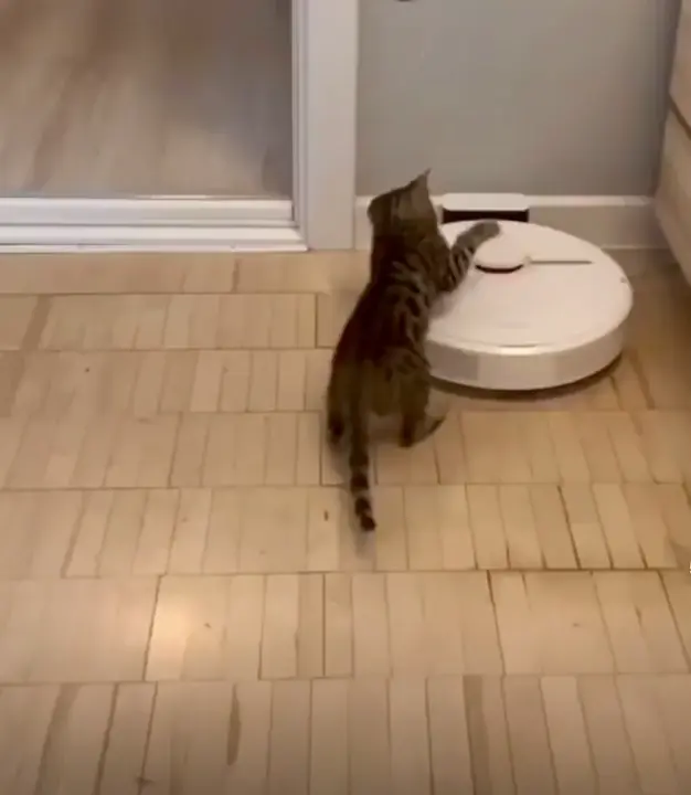 The Arch-Enemy | Scrolller