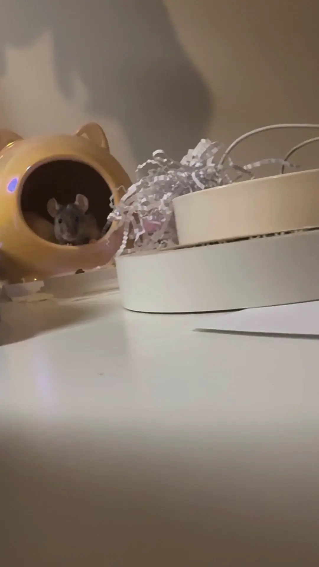 The beast on my desk | Scrolller