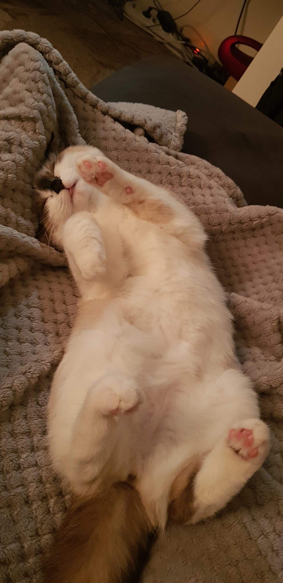 The best nap | Scrolller