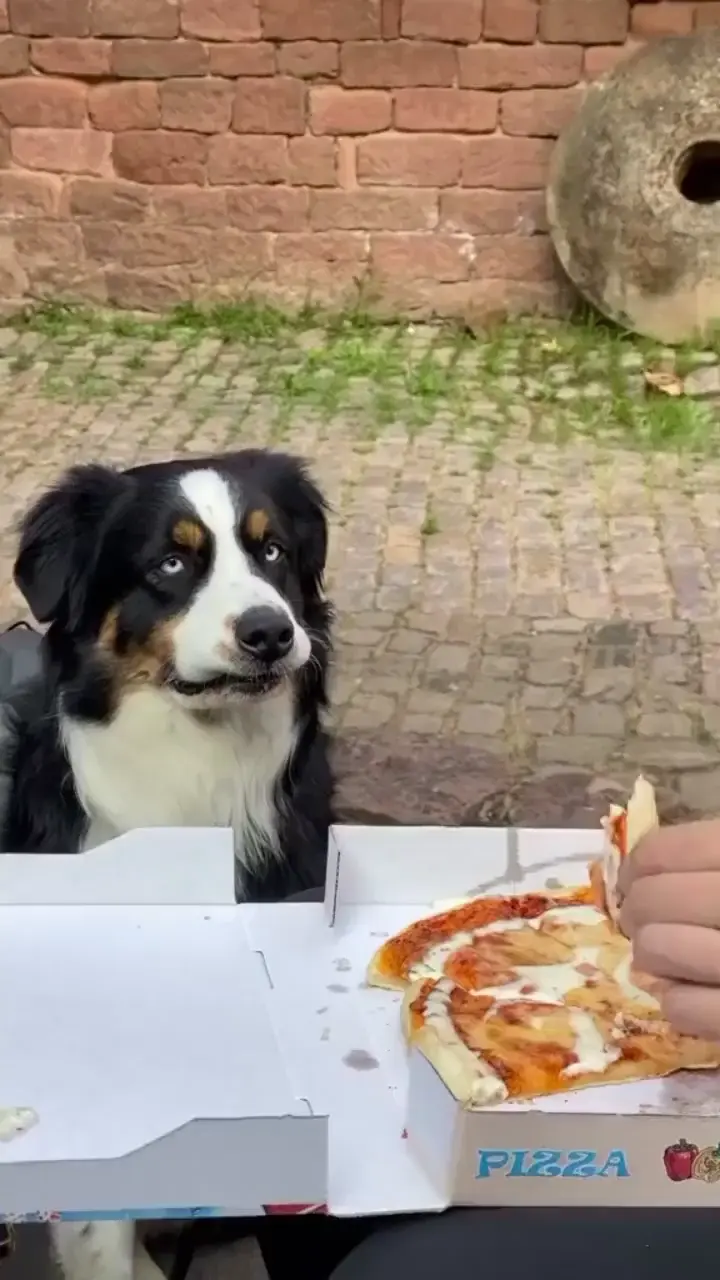 The biggest derp. | Scrolller