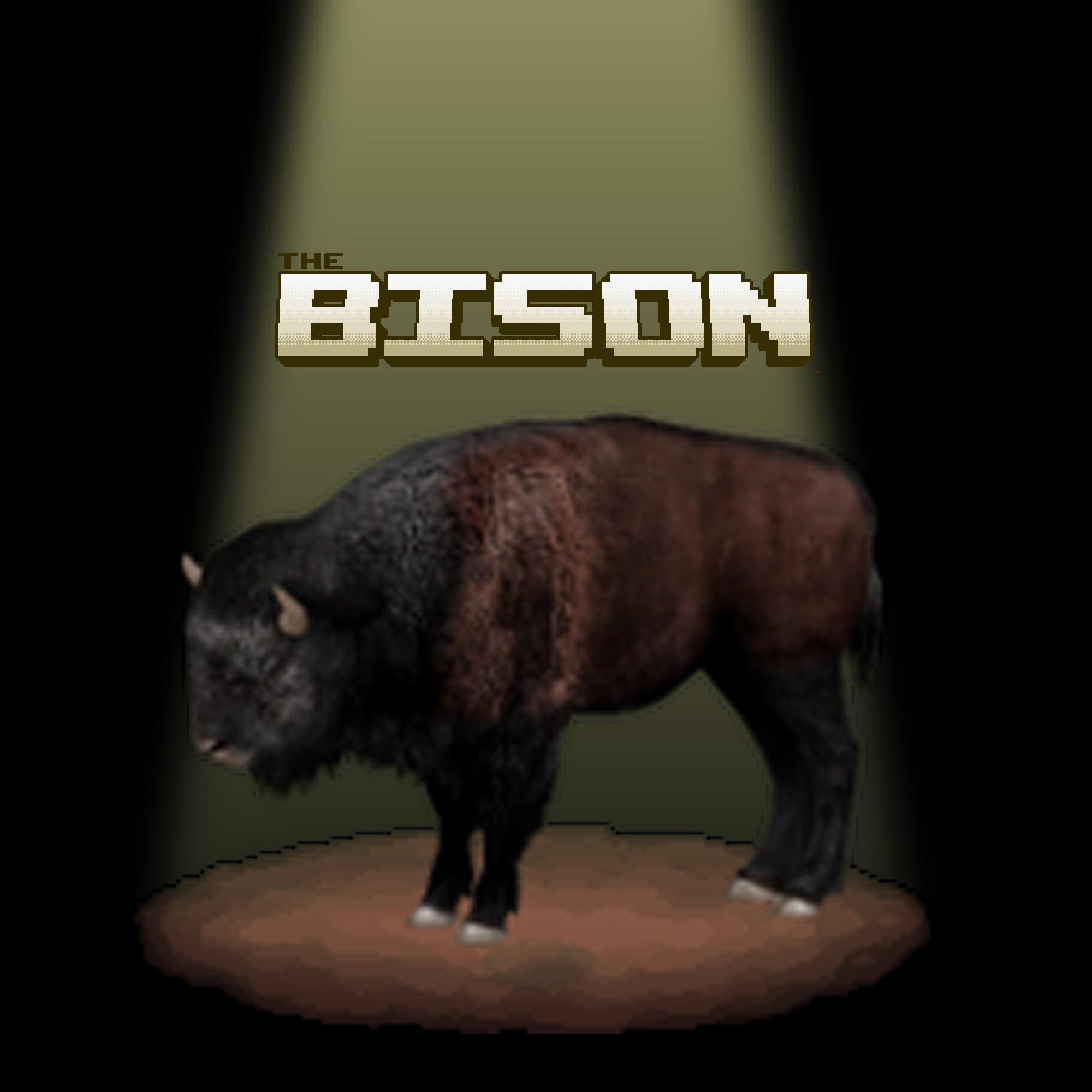 the bison | Scrolller