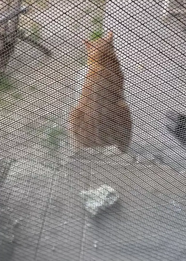 The butt jump | Scrolller