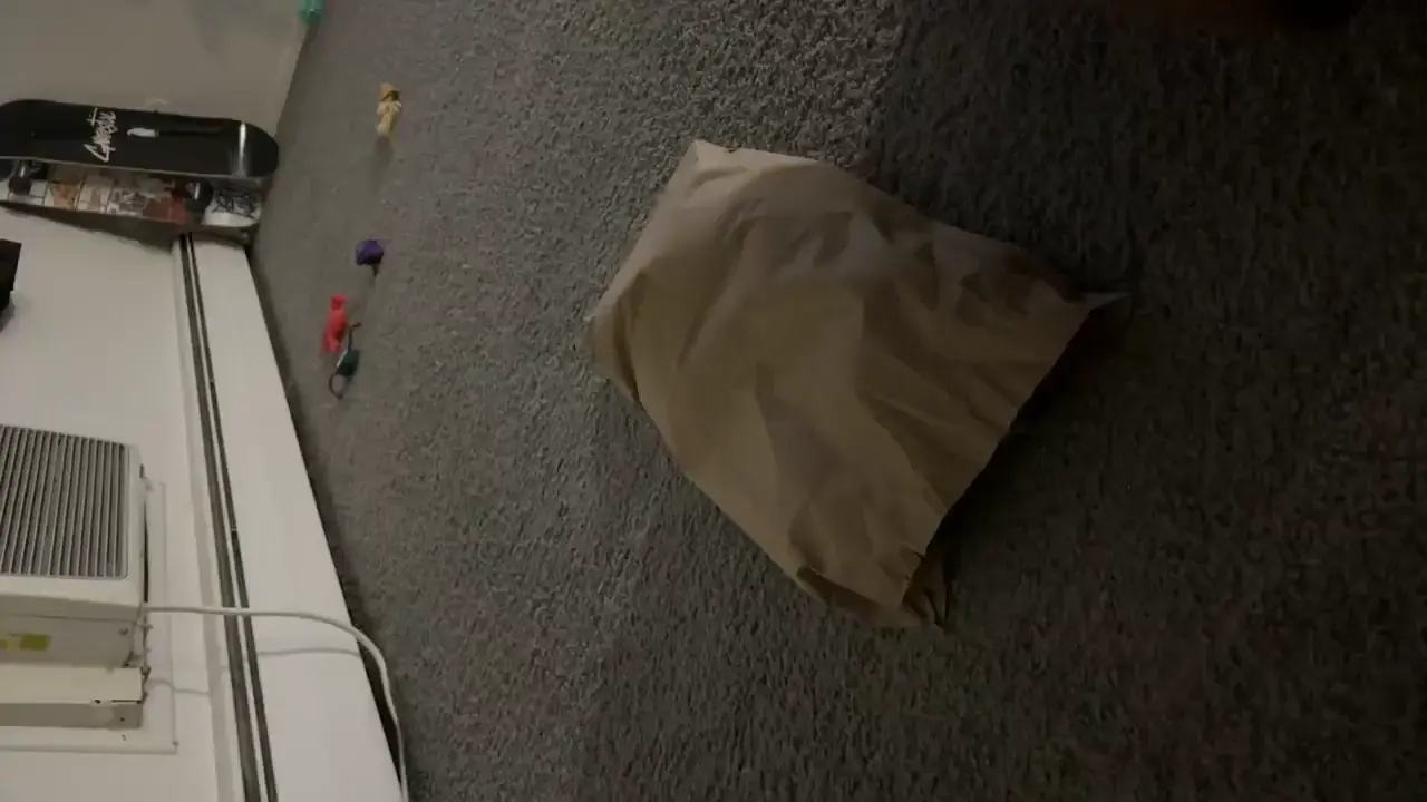 The classic bag trap | Scrolller