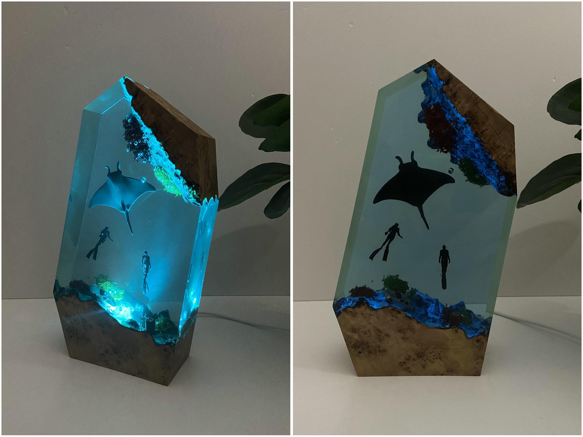 The diver's breathtaking moment was captured perfectly | Scrolller