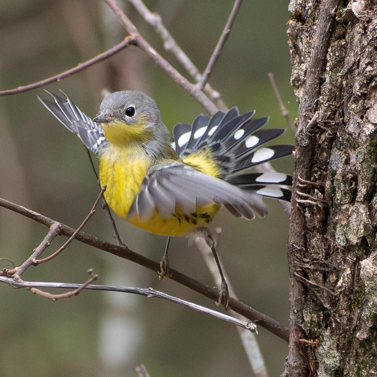 After the divorce, Jenny took ballet classes. Turns out she was pretty good! | Scrolller