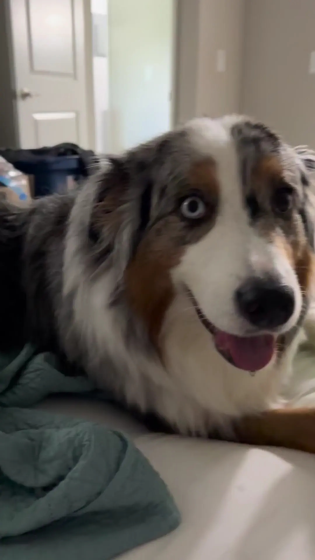 The drama | Scrolller