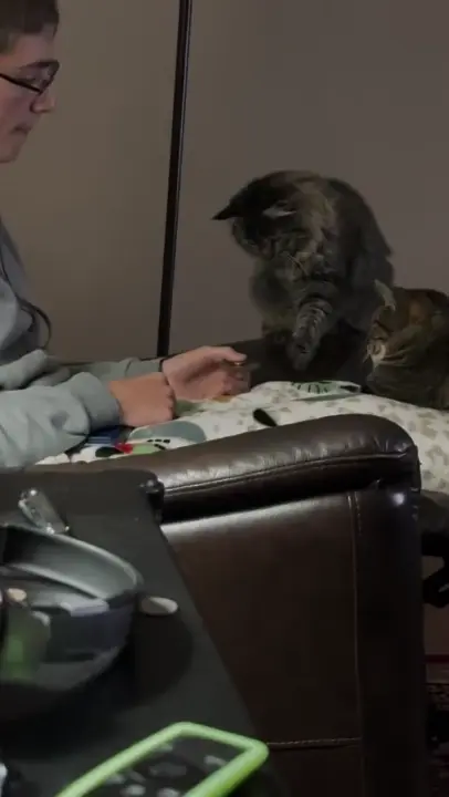 The Fidget Spinner Strikes Back | Scrolller