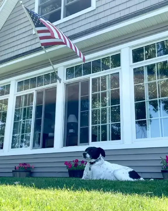 The hero we deserve | Scrolller