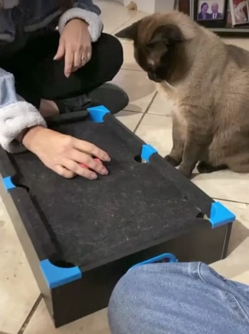 The Hustler | Scrolller