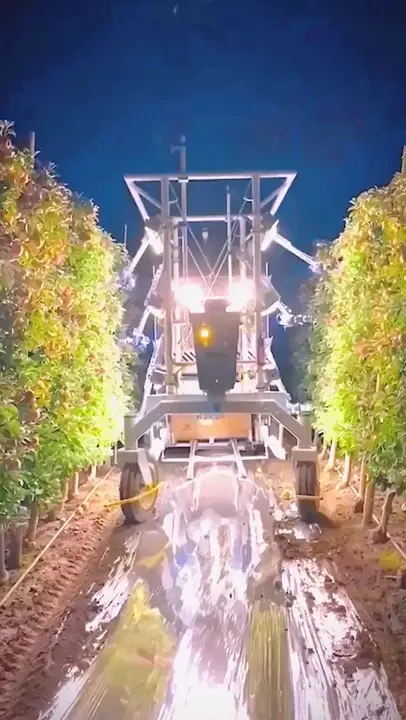 The Matrix | Scrolller