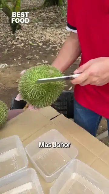 The skill of this man who cuts Durian at work | Scrolller