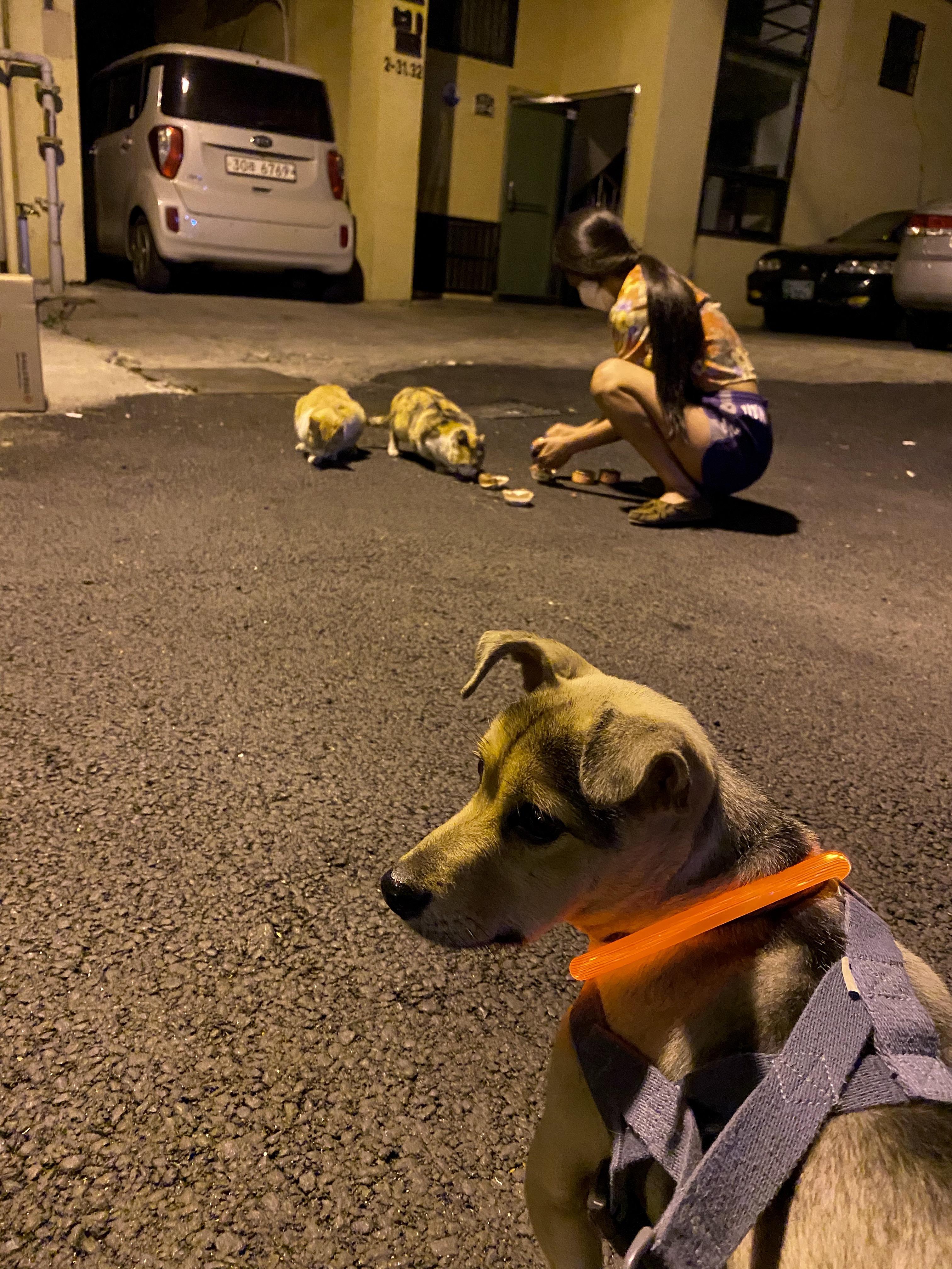 The ultimate betrayal | Scrolller