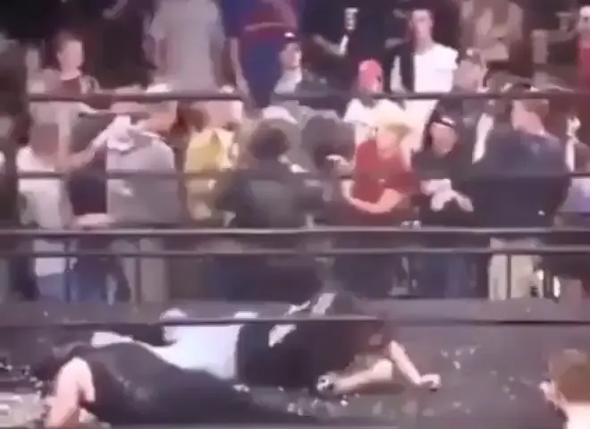 The Ultimate Wrestling Experience | Scrolller