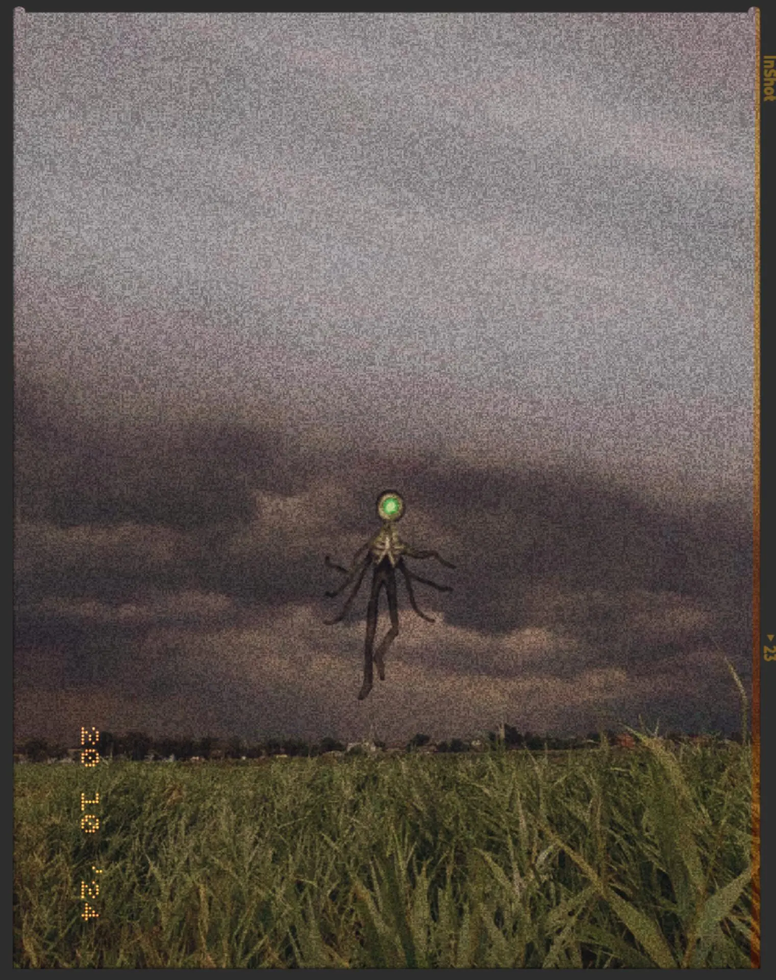 The visitor | Scrolller