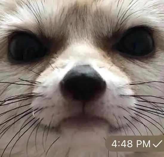 The Void Stares back | Scrolller