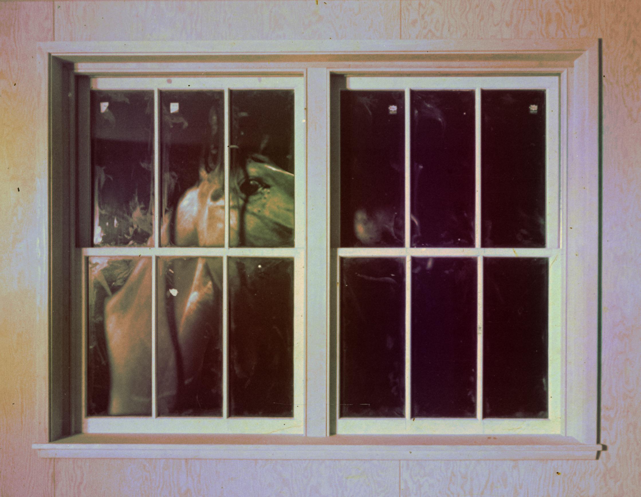 The Warning | Scrolller