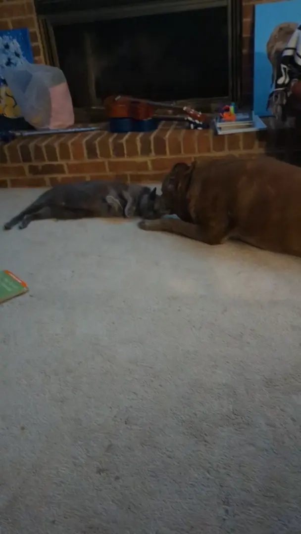 These two and their nightly cuddles. | Scrolller