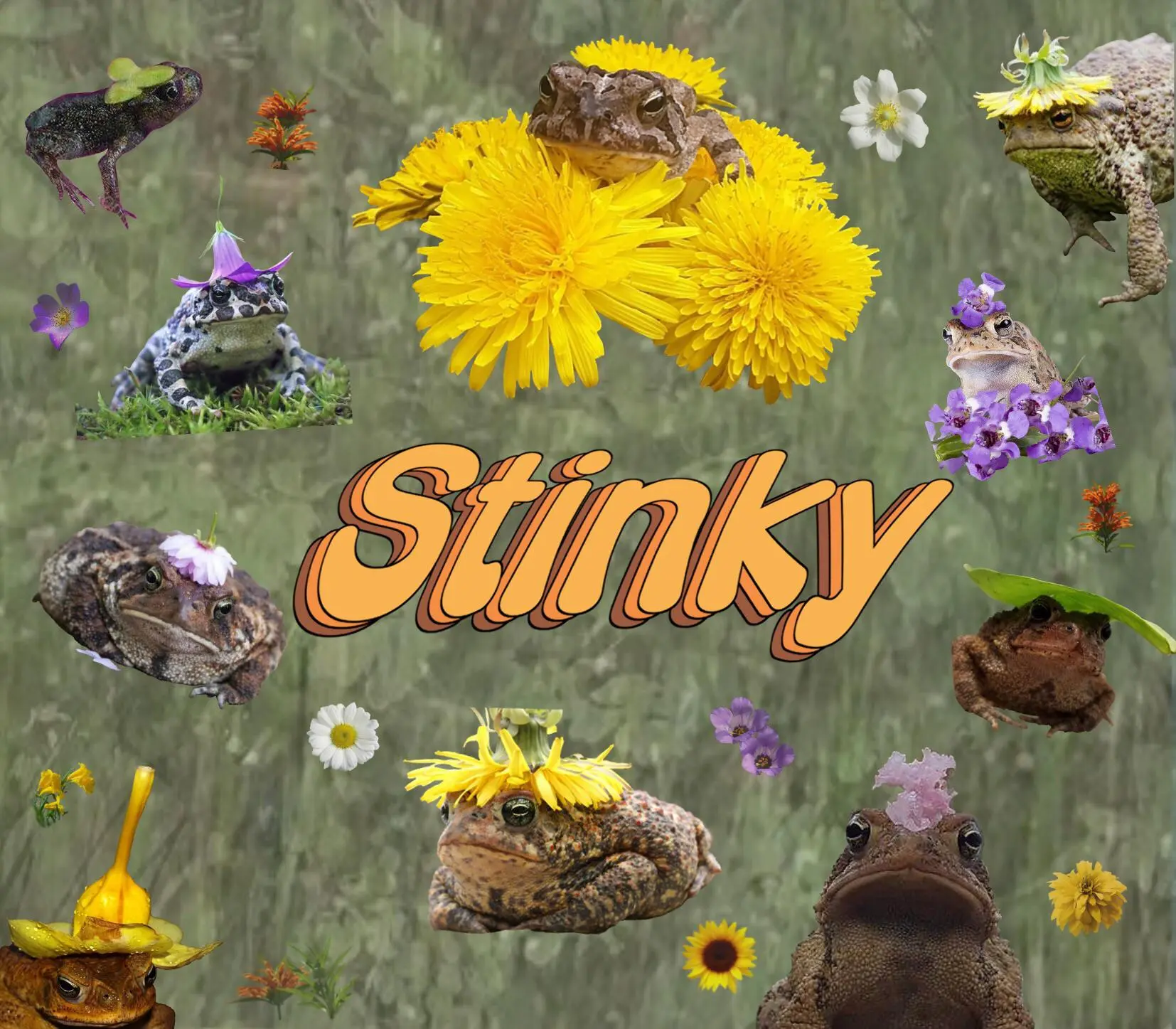 They Stinky Flowers
