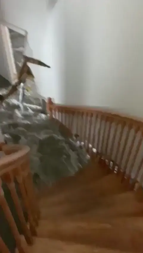 This Hurricane flooding is just crazy | Scrolller