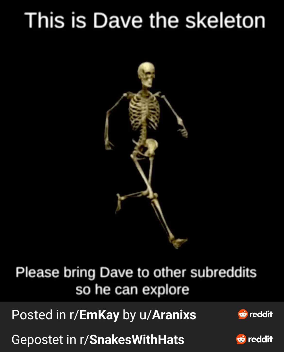 This is dave | Scrolller