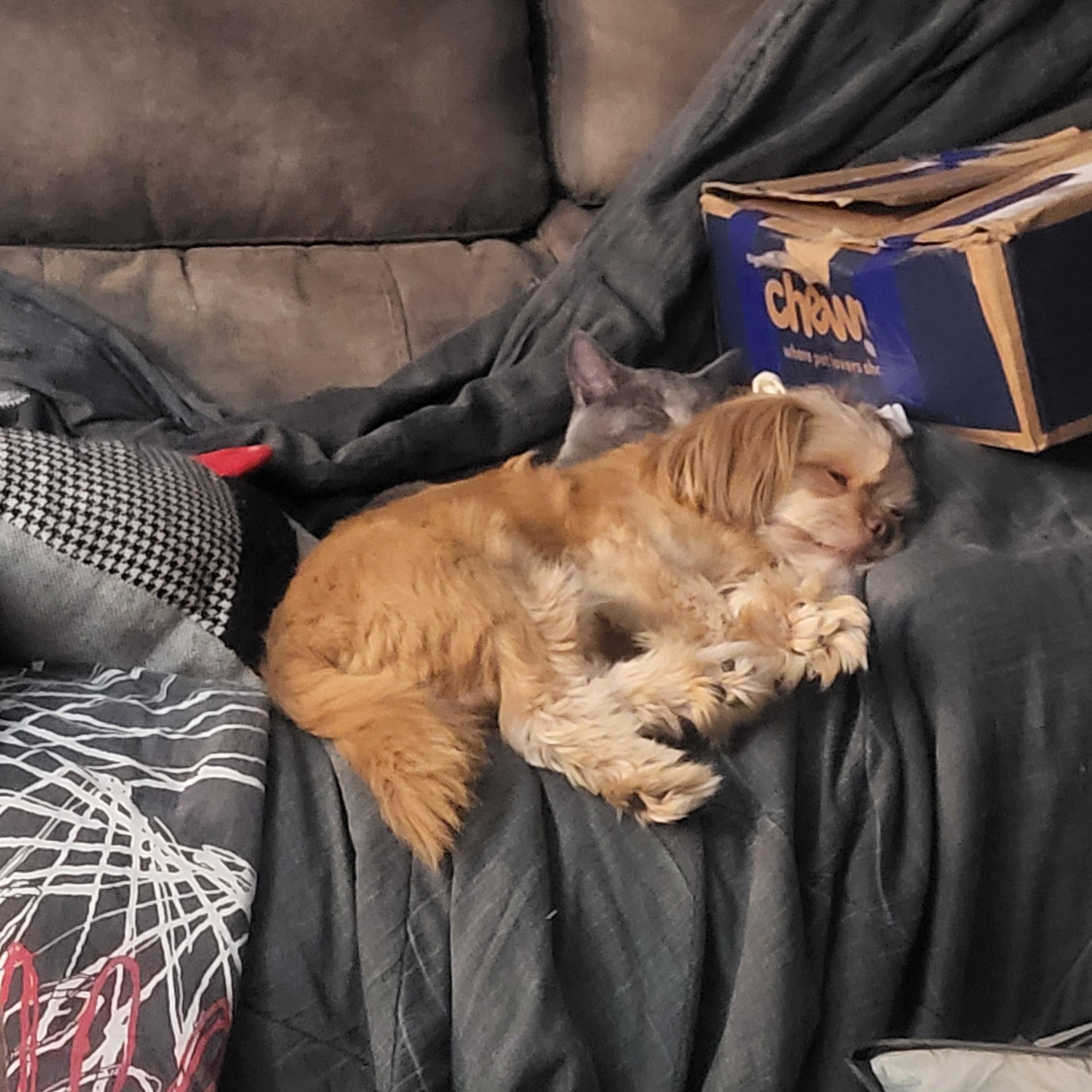 This is mars | Scrolller