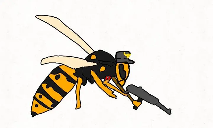 this is what I see wasps are | Scrolller