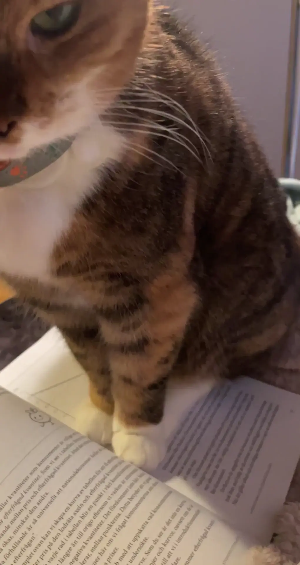 This is why I cant get any studying done at home | Scrolller