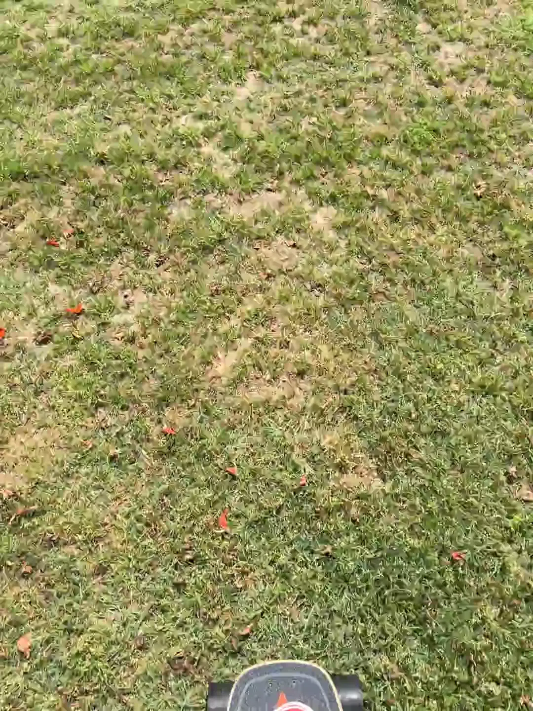 This thing be moving | Scrolller