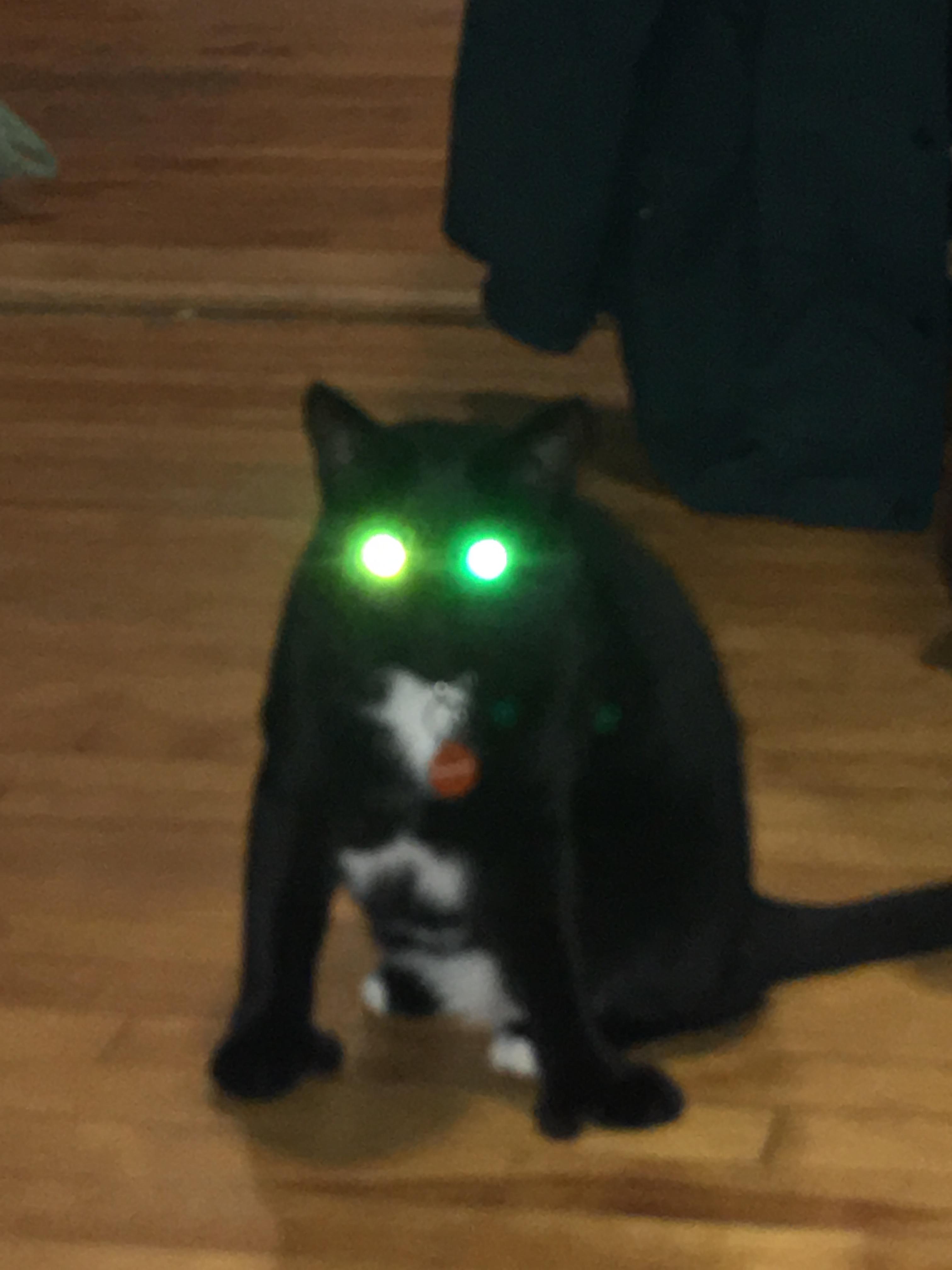 Thumbs up | Scrolller