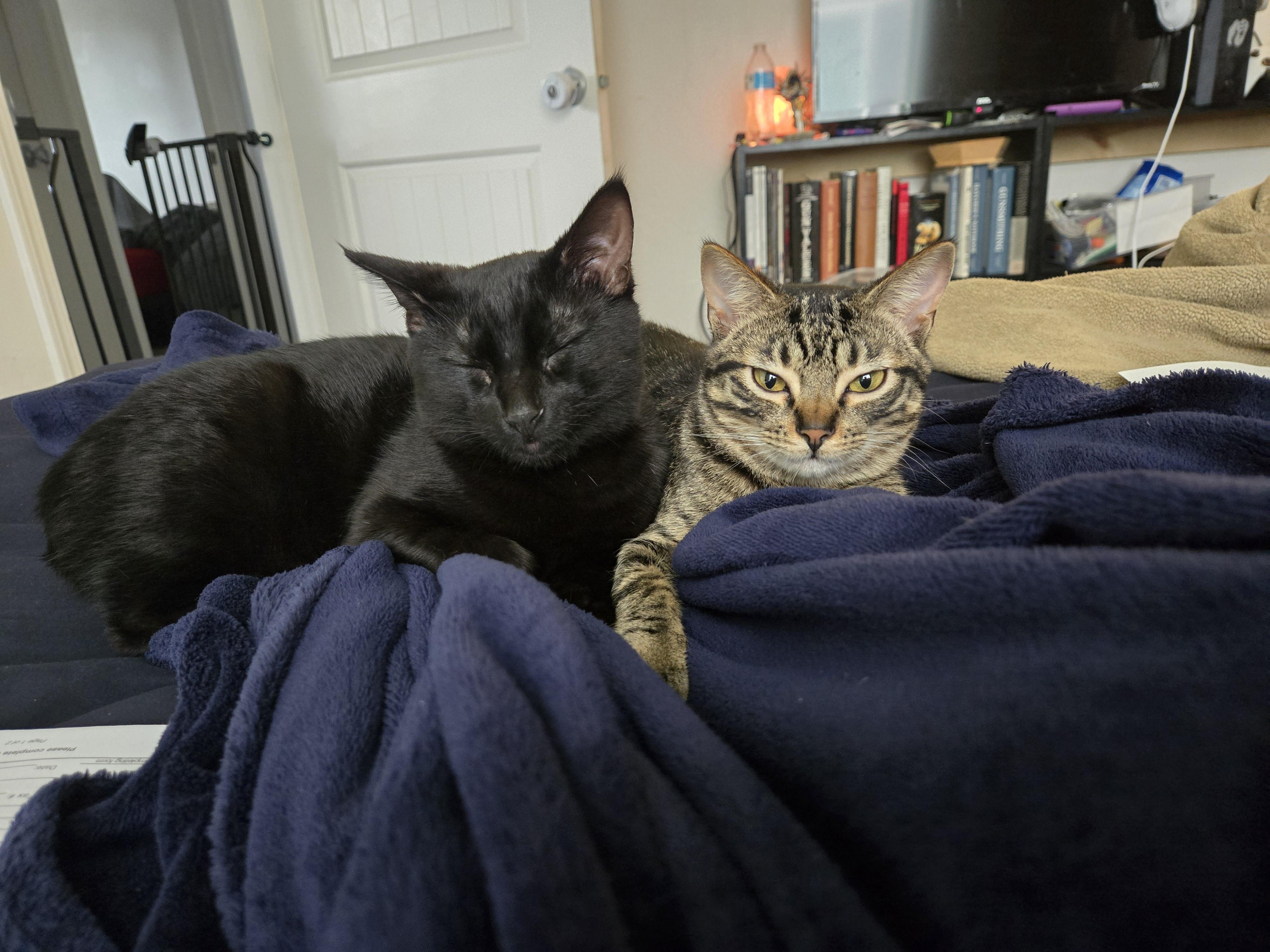 Protector of the void | Scrolller