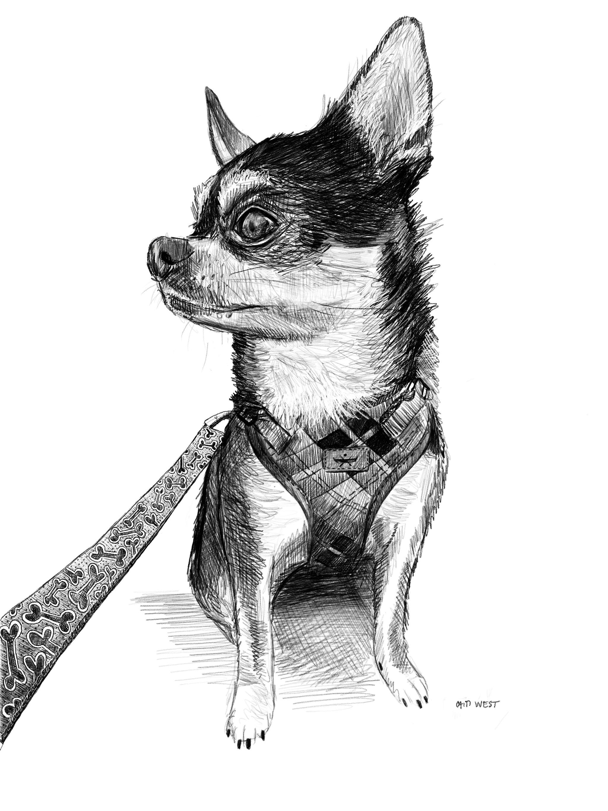 Tiny chi, cwest, digital, 2024 | Scrolller