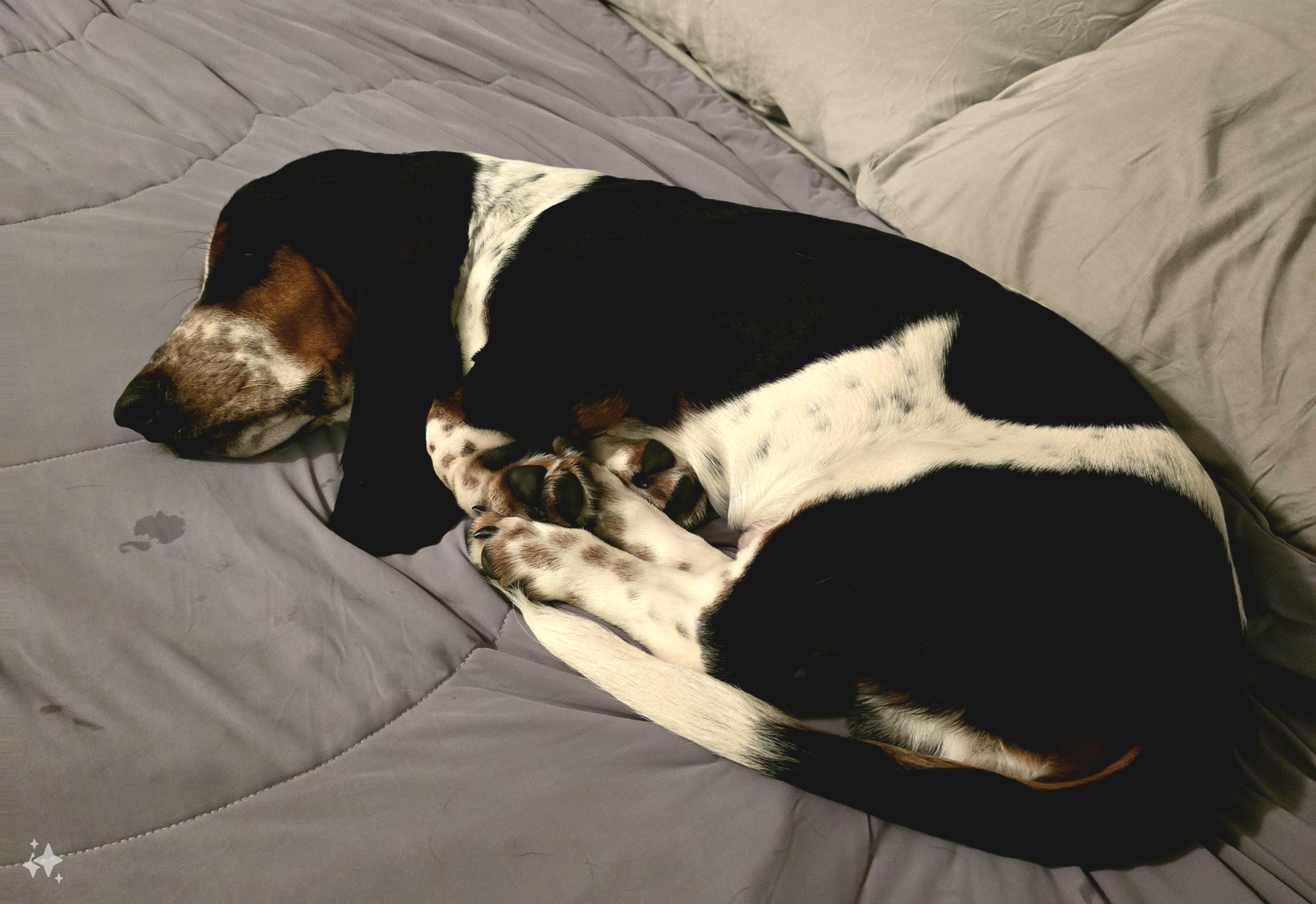 Tired Butters | Scrolller