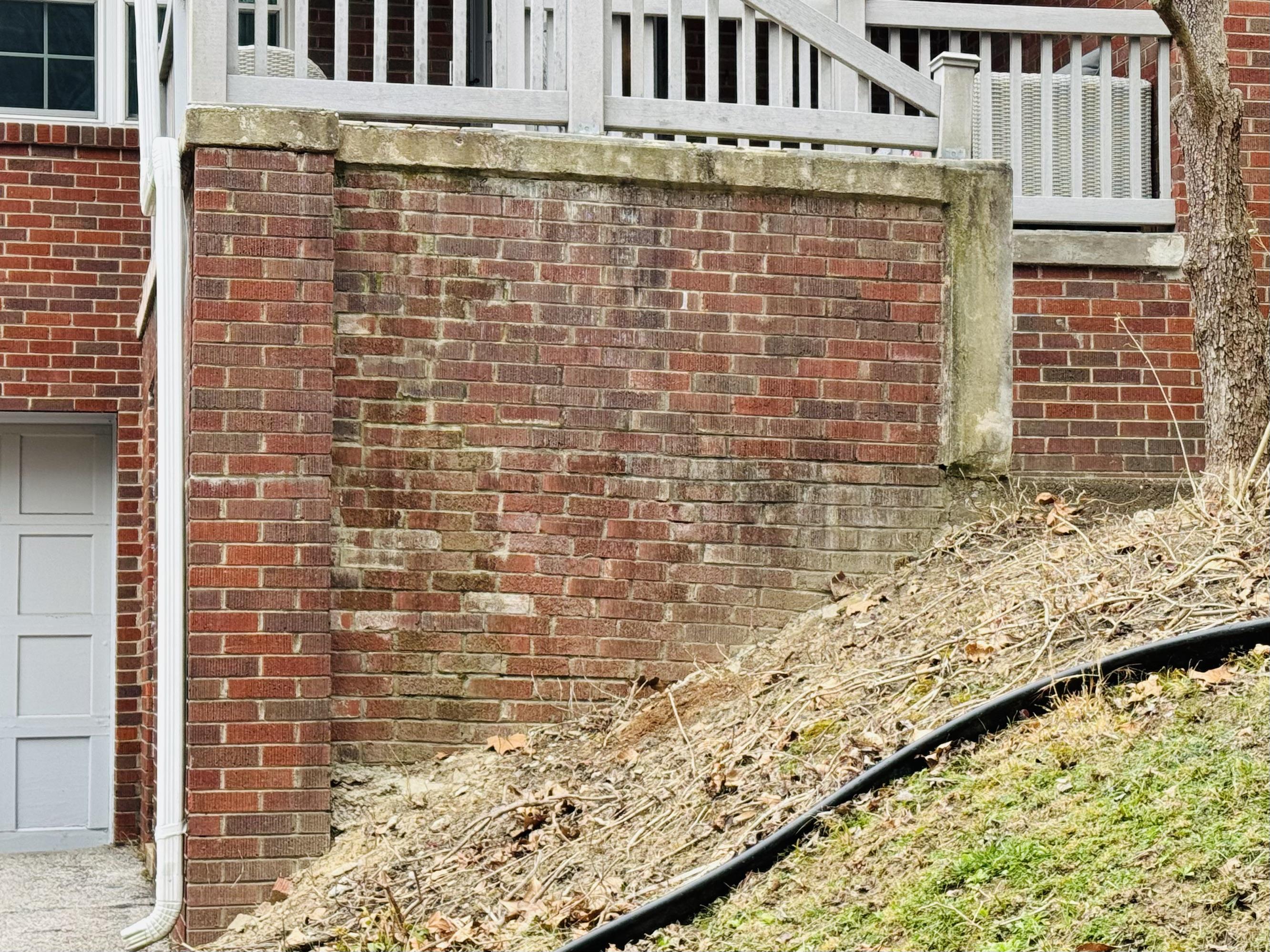 What should I do with this unsightly wall? Would a trellis work with plants/vines work? | Scrolller