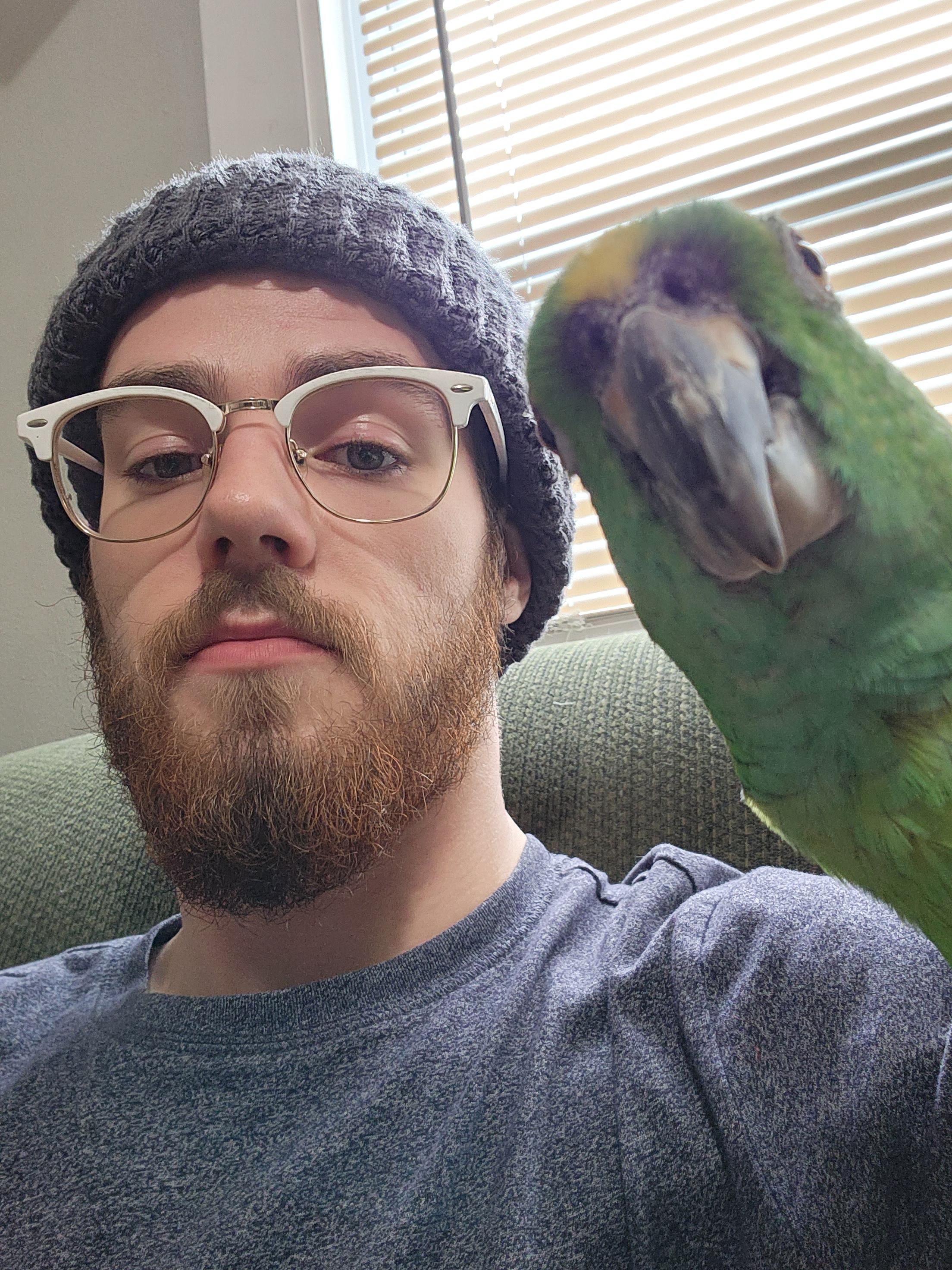 Silly bird | Scrolller