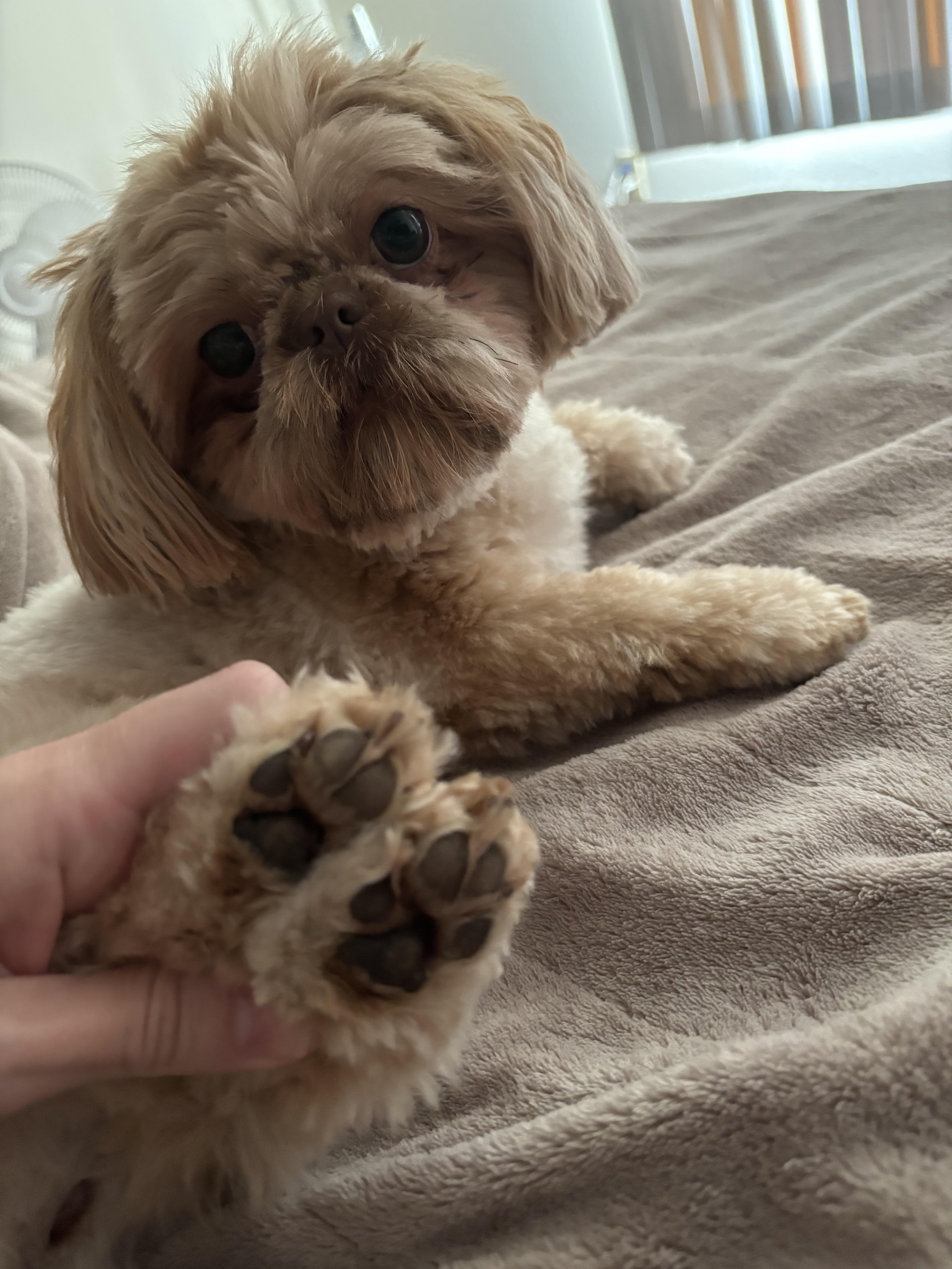 Toe Beans ️ | Scrolller