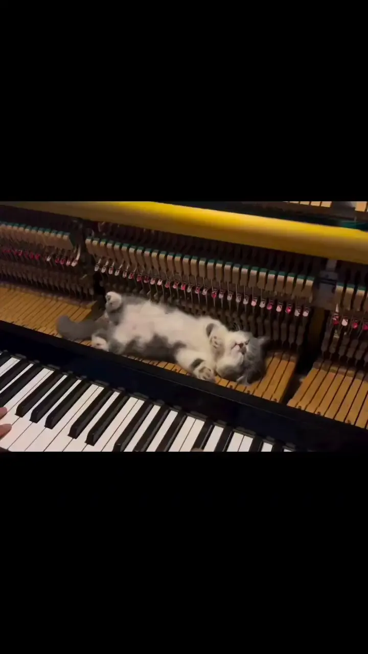 Tom taking Jerry's place | Scrolller