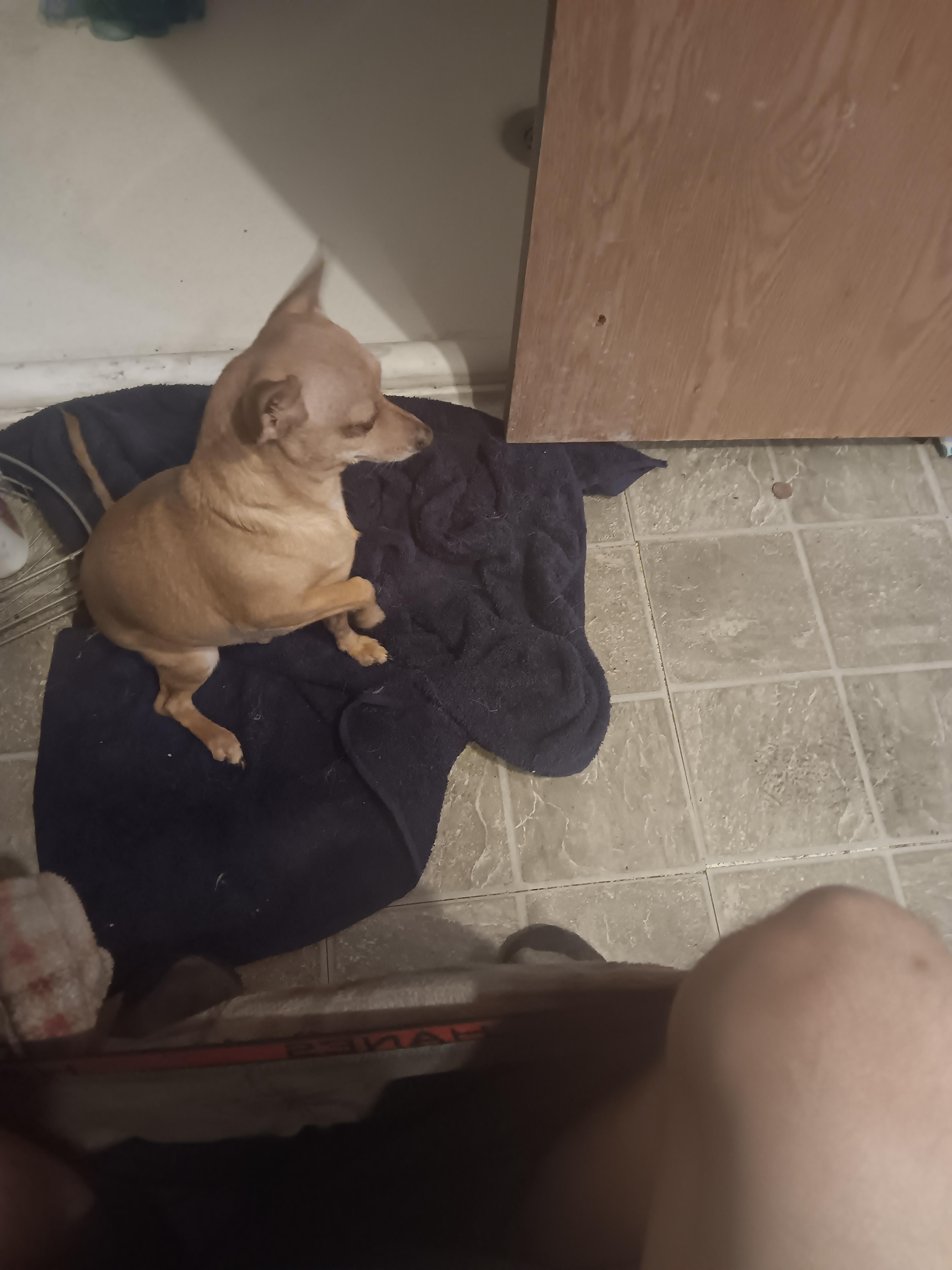 Post those pool partners!! | Scrolller