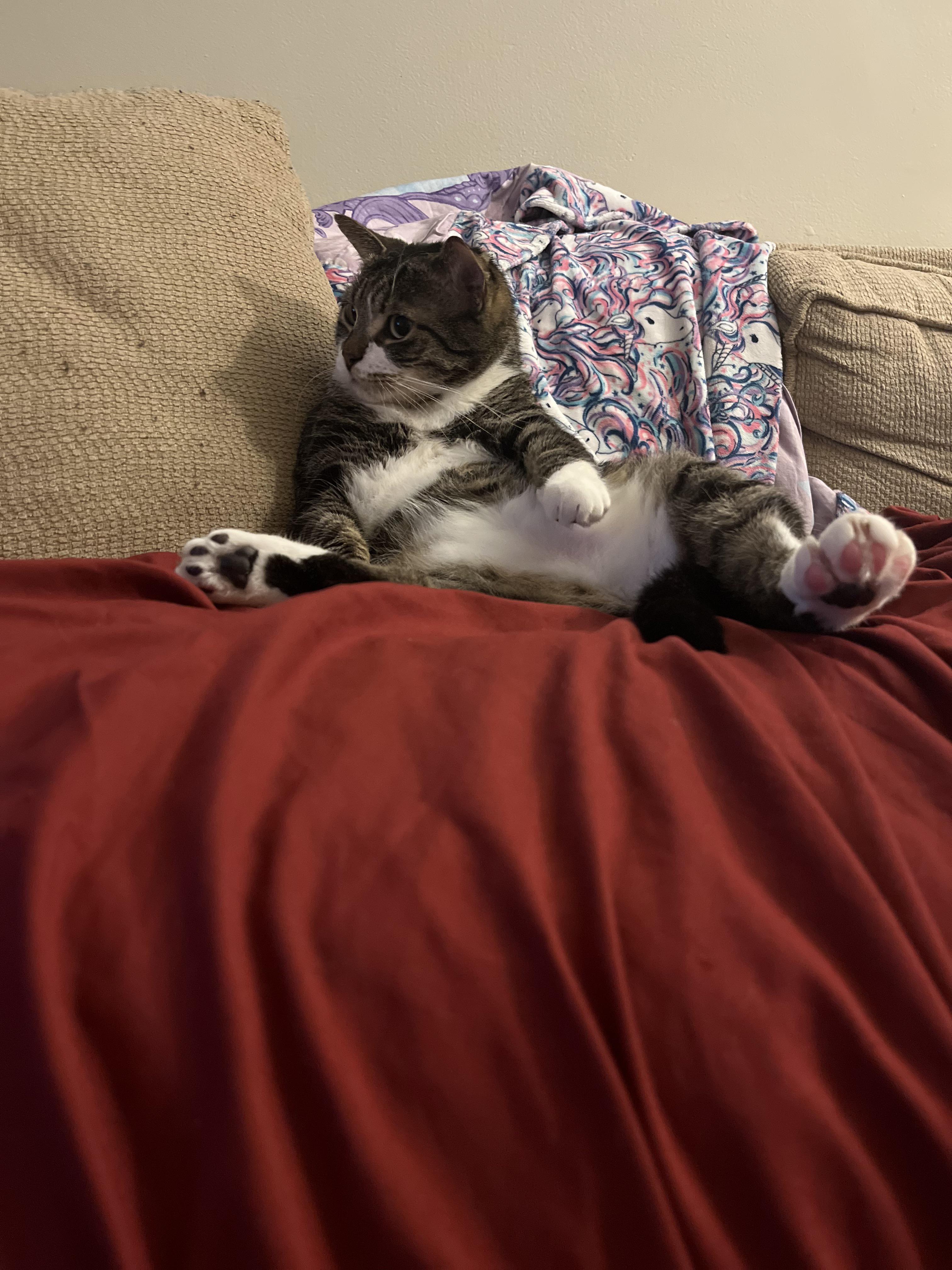 Lounging | Scrolller