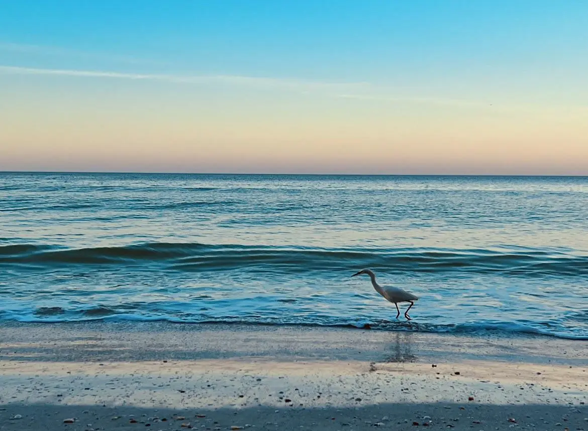 Discover more like Beachporn: Treasure Island, Fl and Related Content | Scrolller